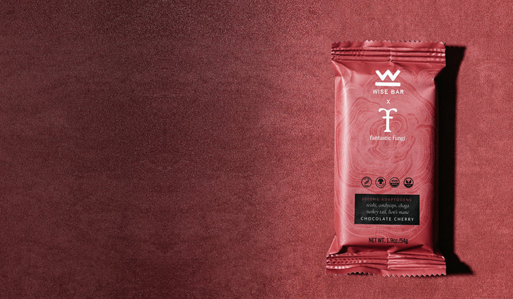 Wise Bar - Organic Adaptogen Bars – WISE BAR