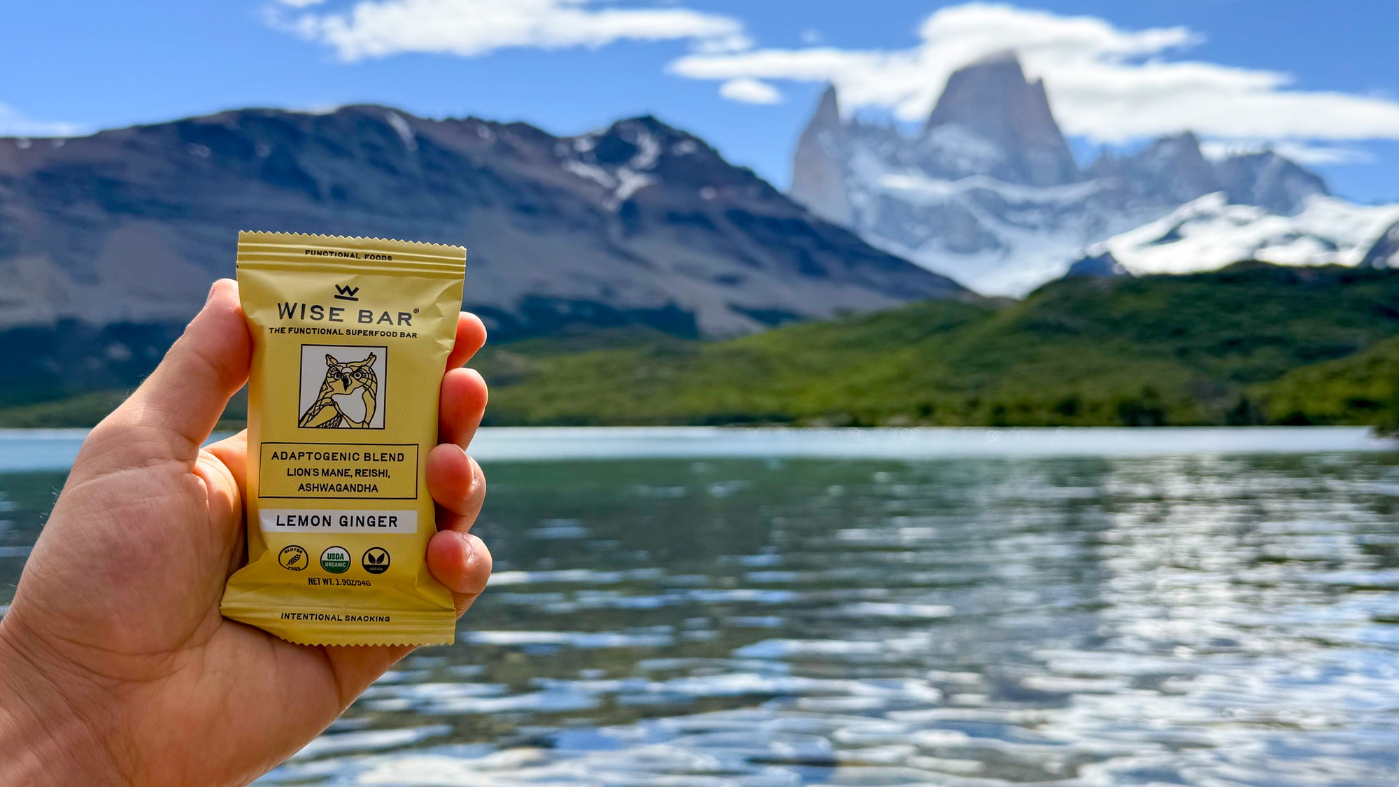 Wise Bar - Organic Adaptogen Bars – WISE BAR