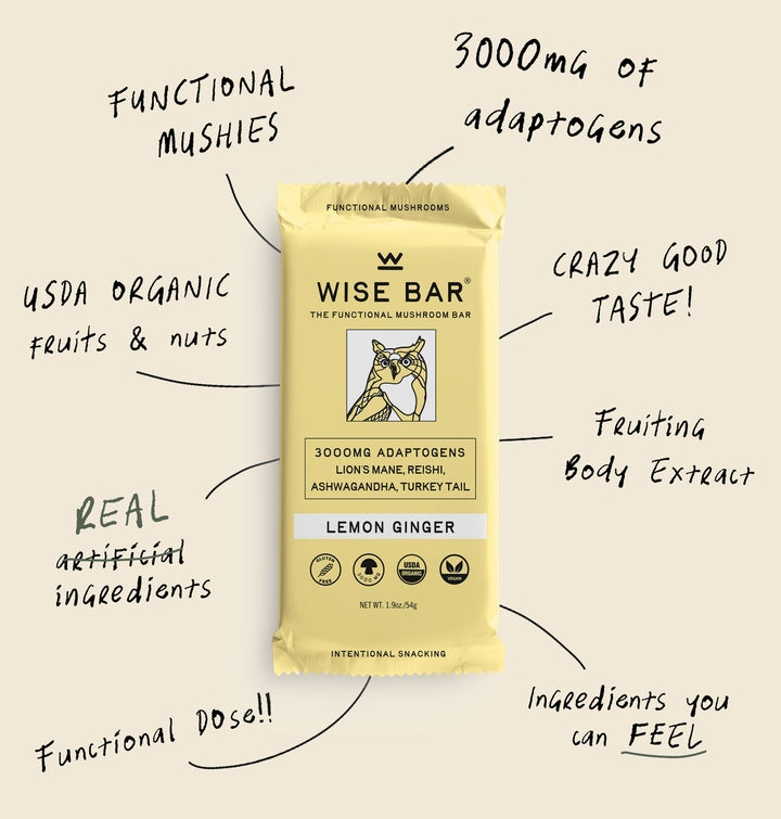 Wise Bar - Organic Adaptogen Bars – WISE BAR
