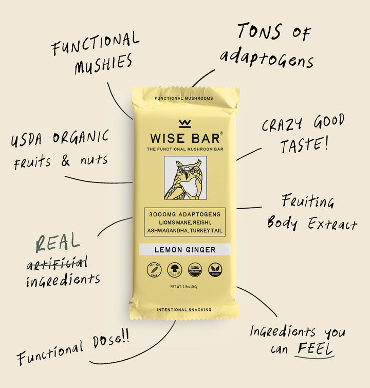 Wise Bar - Organic Adaptogen Bars – WISE BAR